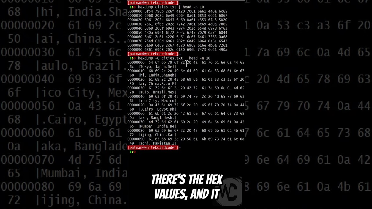Linux: hexdump #coding #linux #linuxtutorials #linuxcommandlinetutorial #ubuntu #sysadmin