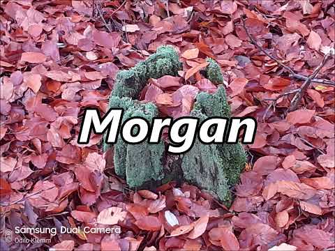 MORGAN as Family Name Meaning and Origin