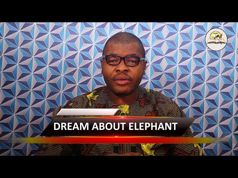 BIBLICAL MEANING OF ELEPHANT IN DREAM - Find Out The Spiritual Meaning