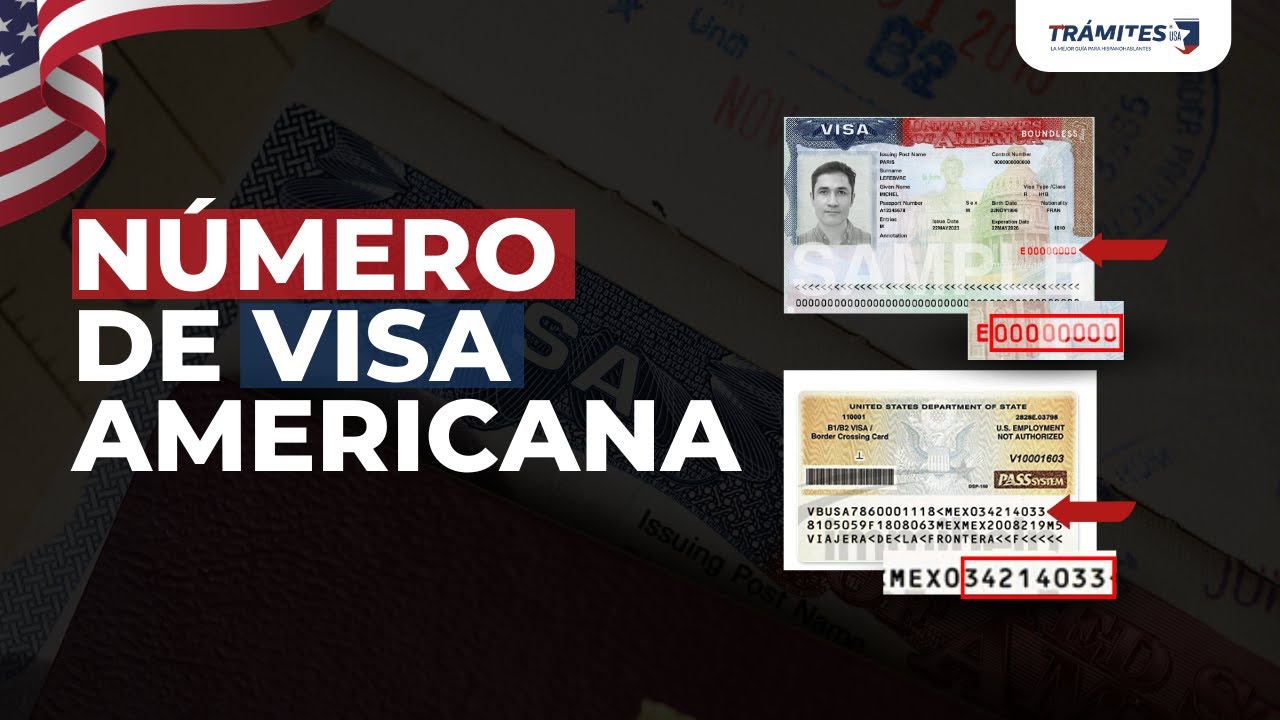 Cuál es el NÚMERO de la VISA AMERICANA | Los 8 digitos que debes tener en cuenta