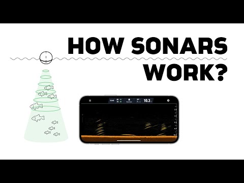 Everything You Need to Know About How Sonars Work