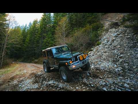 Jeep Wrangler TJ Spring Off-Road Exploring in Greenwater, WA [4WD Adventure ASMR]