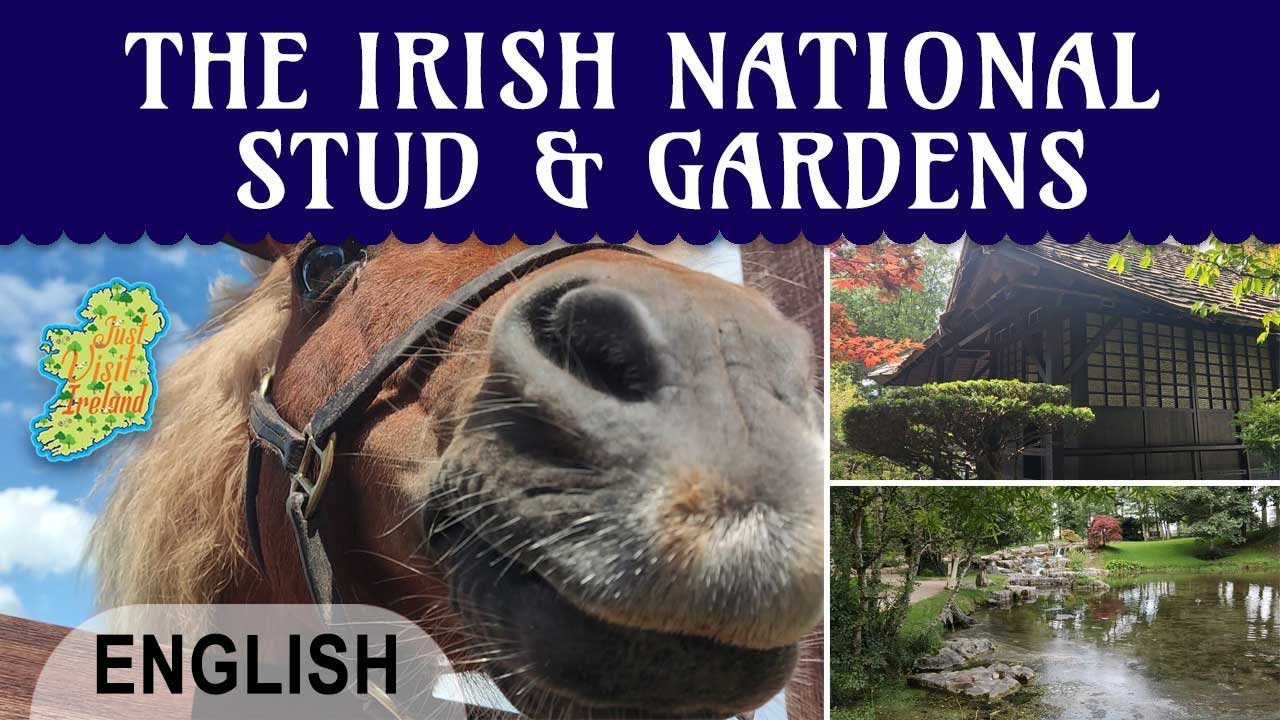 KILDARE: Irish National Stud & Gardens