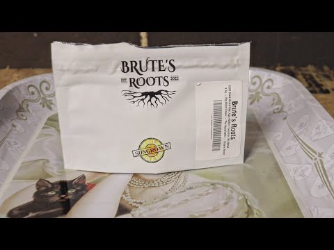 New Jersey's First Sun Grown Product | BRUTES ROOTS GOODFATHER