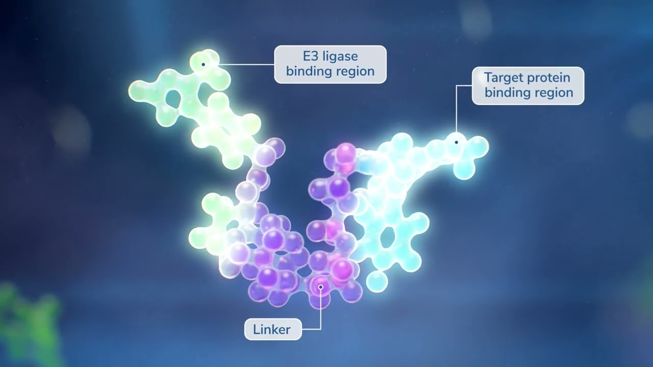 Arvinas PROTAC® protein degraders - HCP