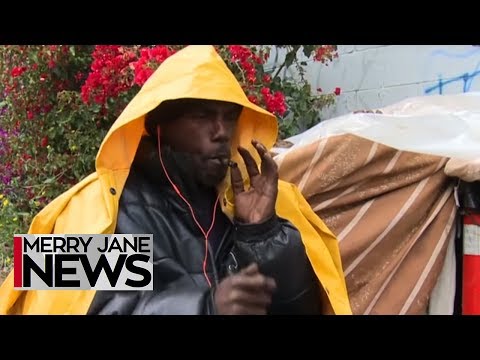 Can Cannabis Treat Drug Addiction? | MERRY JANE News