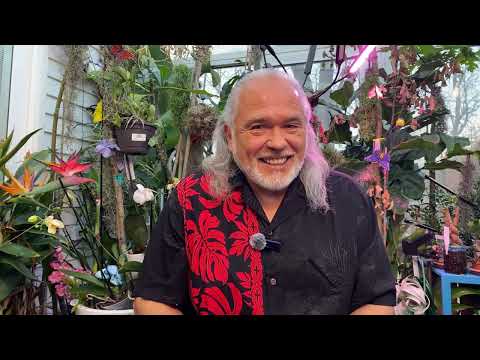 “Merry Christmas” – KTFA Frank26 Video Update 12-24-25 | Dinar Chronicles