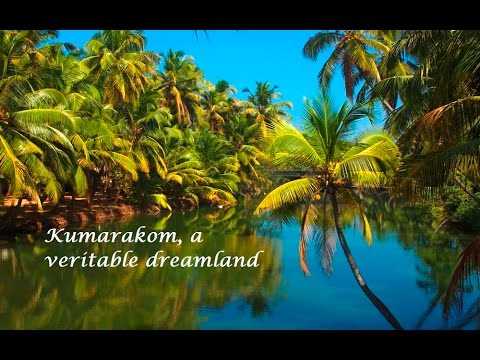 Kumarakom Backwaters inKottayam | Kerala Tourism
