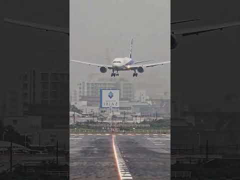 How Reverse Thrust Works 🤔