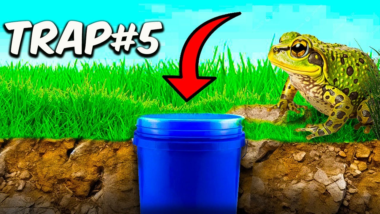 I Set Reptile Traps and Caught This!!
