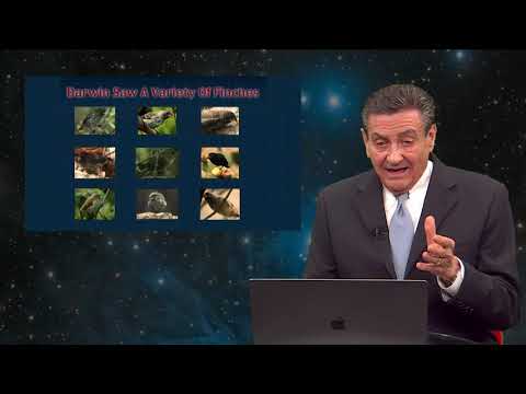 What Is Creation Science II