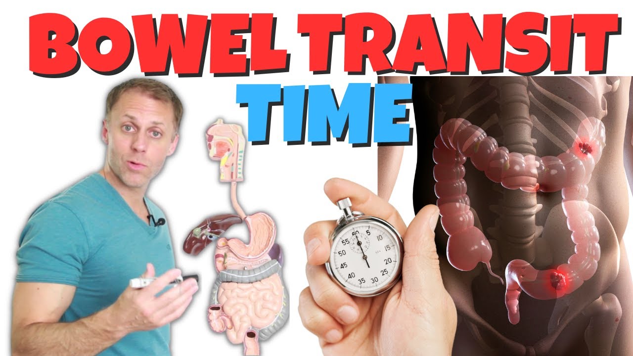 What’s the Optimal Bowel Transit Time