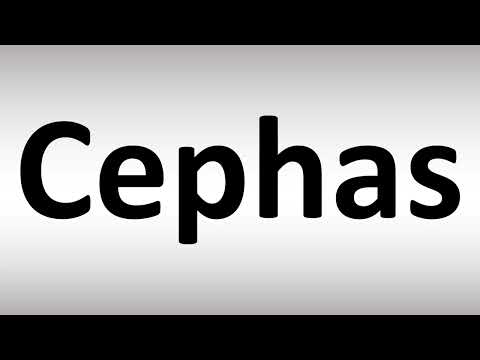 How to Pronounce Cephas