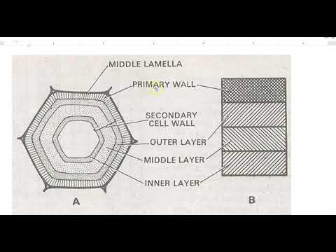 CB Unit 2 Lect 2
