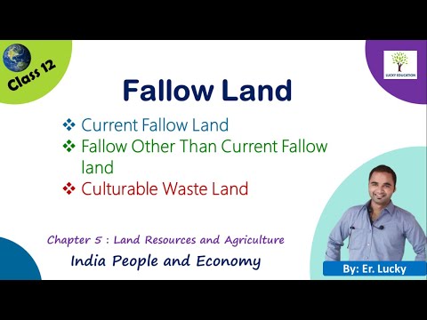 Fallow Lands - Current Fallow land, Culturable wasteland - Class 12 Geography