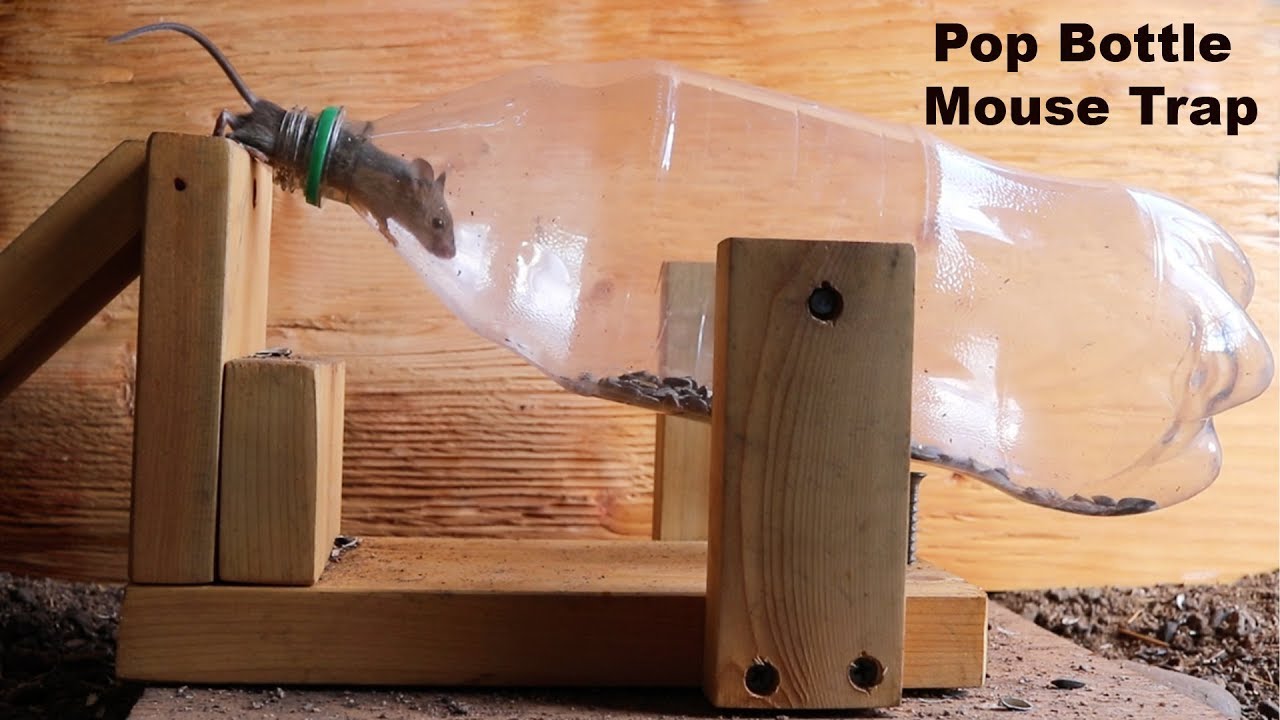 This Pop Bottle Mousetrap Cost Me $36 On eBay- But Does It Work? Mousetrap Monday