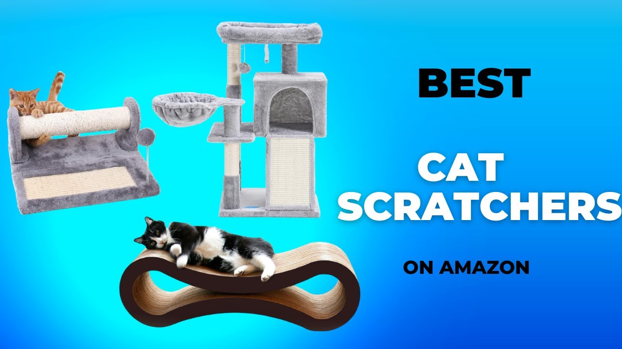 Best Cat Scratchers On Amazon 2023 | Top 5 Cat Scratchers Review | Products Review