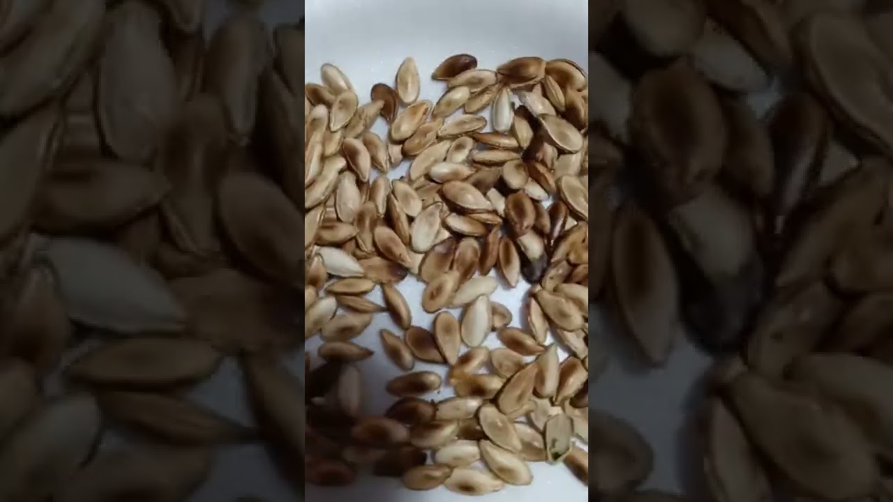Pepitoria! 😱😱