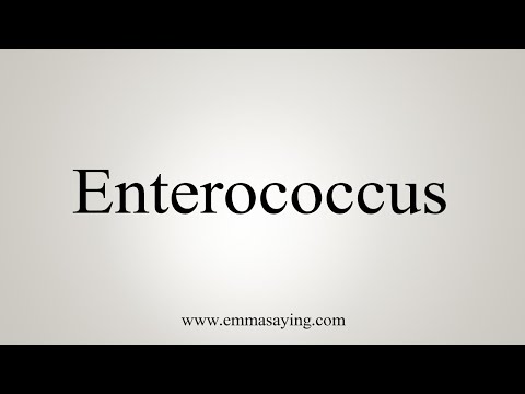 How To Say Enterococcus
