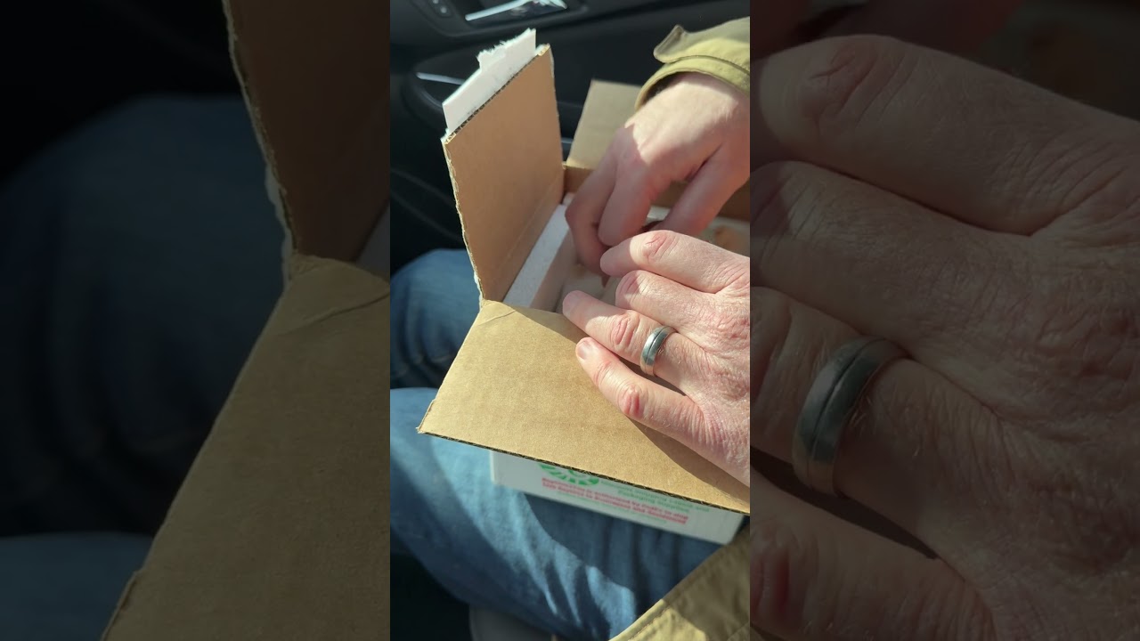 Unboxing a Pastel, Enchi, Desert Ghost Ball Python at FedEx. #morphmarket #ball-python #reptiles