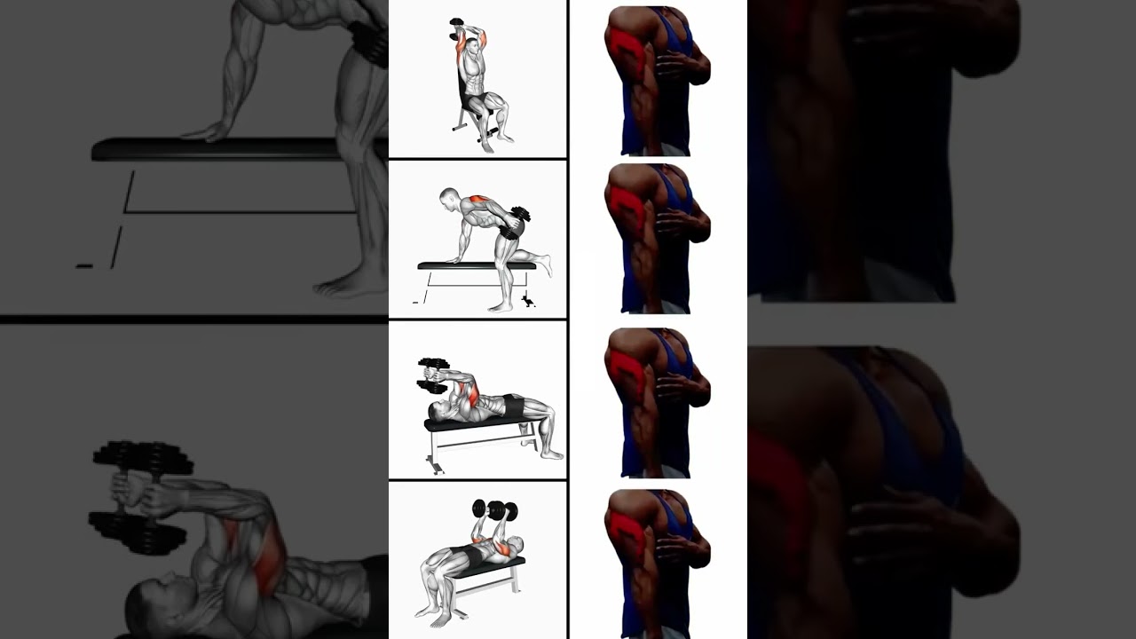 Exercícios para tríceps com halteres #musculação #motivation #treinodetriceps #triceps #hipertrofia