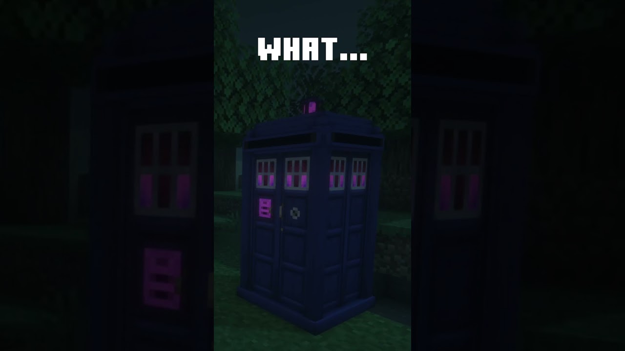 what... #minecraft #doctorwho #mod