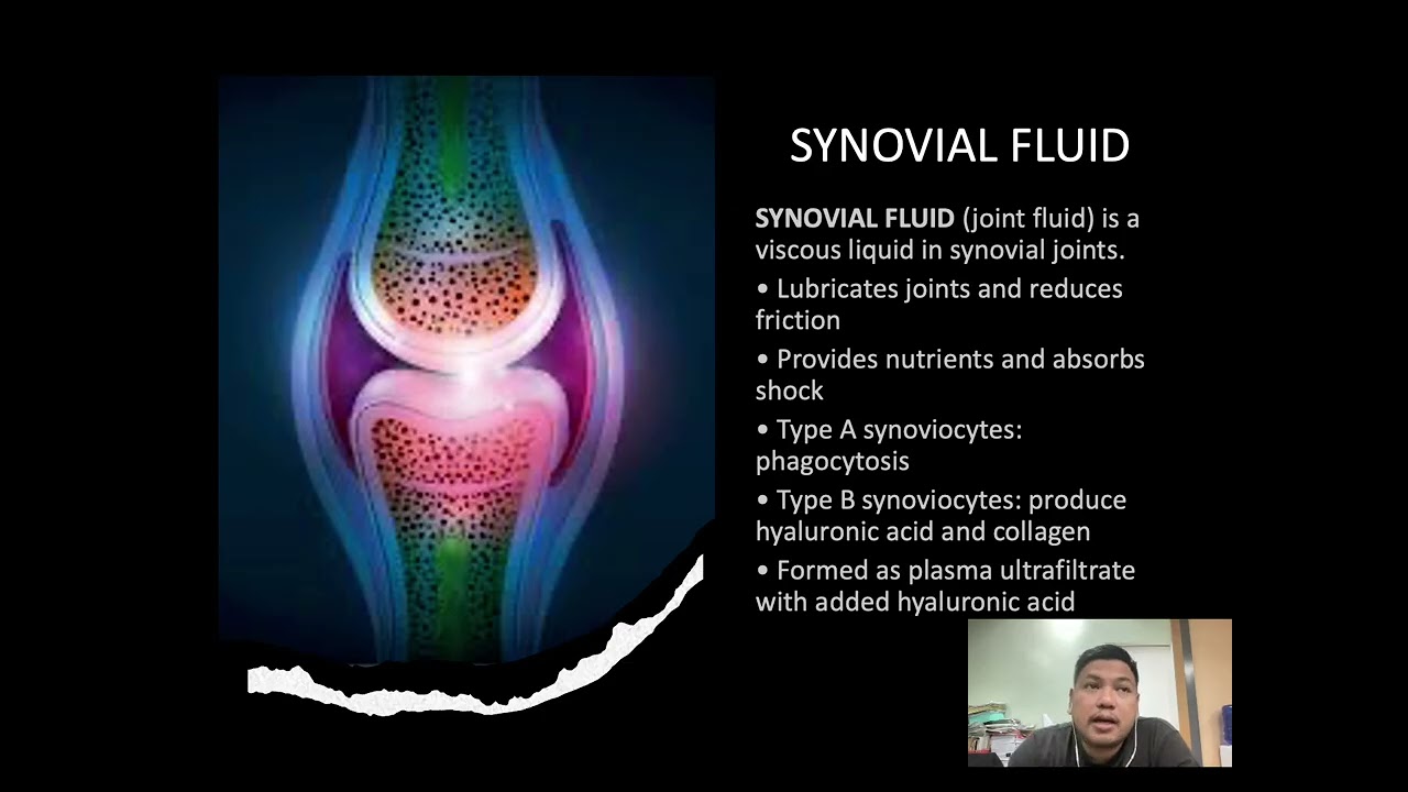 WEEK 16 Chapter 12 Synovial Fluid 1 1