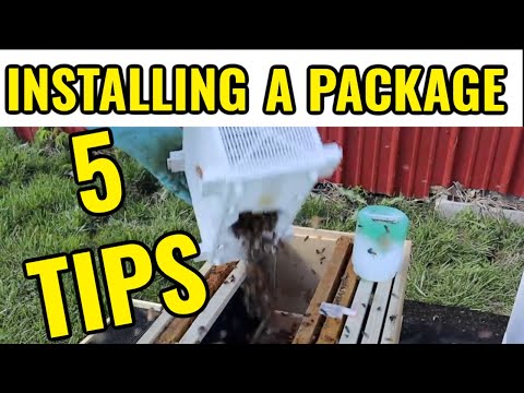 Beekeeping | Getting A New Package Of Bees? 5 TIPS TO KNOW NOW!