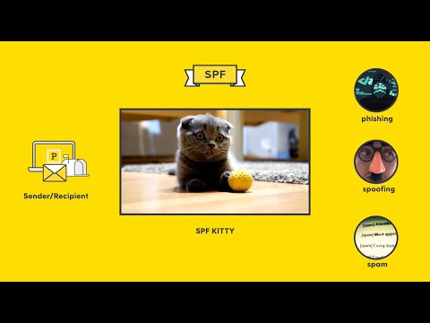 What is SPF? Sender Policy Framework and SPF records explained (in under 3 mins)