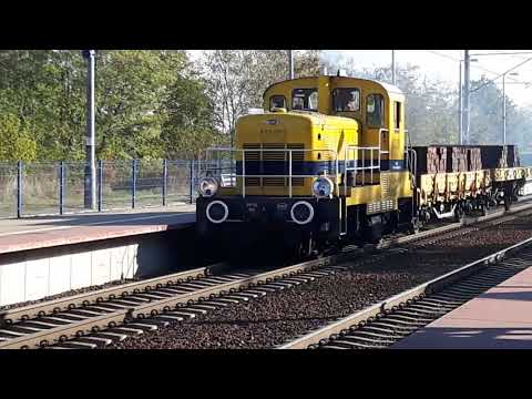 Żółciutka SM30-195