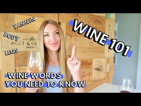 WINE 101 // 15 WINE WORDS you NEED to know!