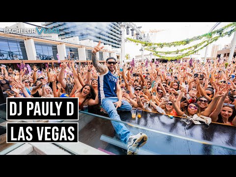 š§ DJ Pauly D Rocks Las Vegas Nights!