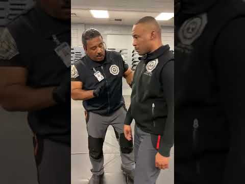 6 Tactics Every Bodyguard Should Know