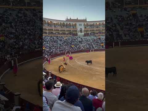 Watch until the end 😳#bullfighting #spain #spaintravel #shorts