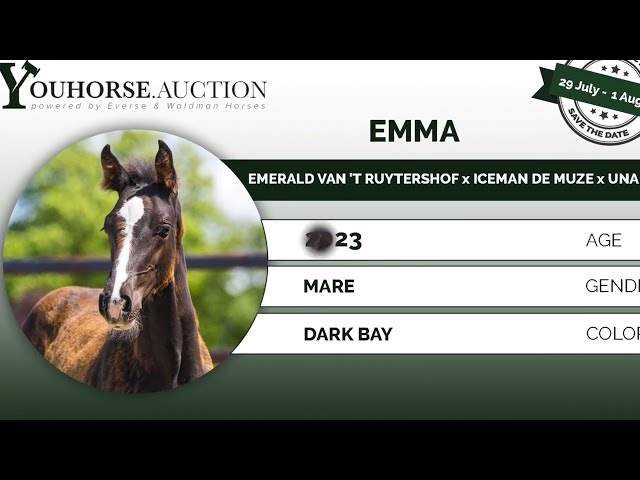Youhorse.auction | Emma Z