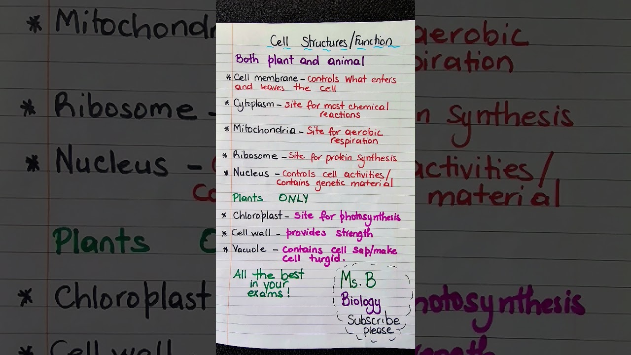 Cell structures and function GCSE BIology notes
