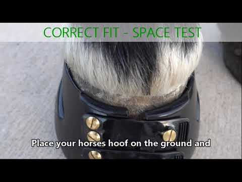 Fitting Your Scoot Boots – Spectrum Equine