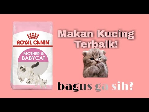🔴ROYAL CANIN apakah baik untuk kucing