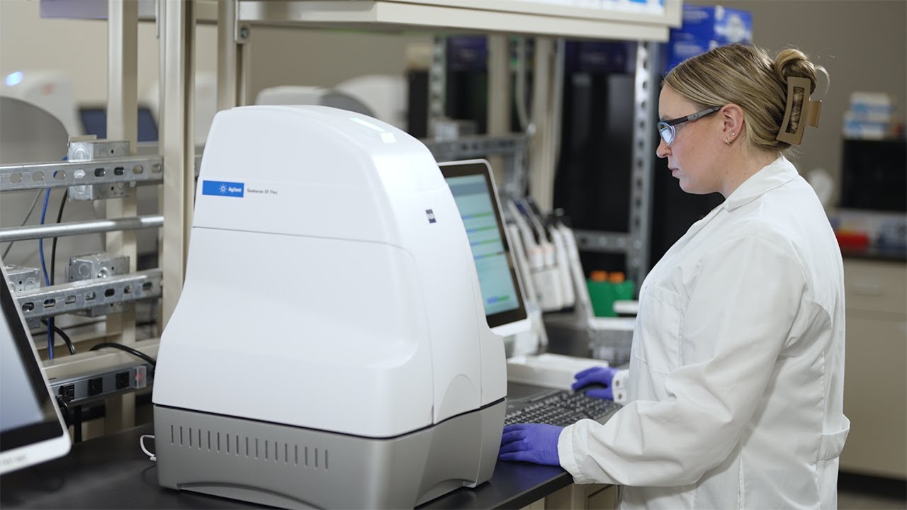 Seahorse XF Flex analyzer and 3D applications