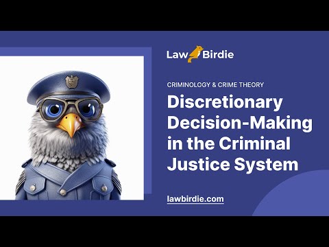Discretionary Decision-Making in the Criminal Justice System - Essay Example