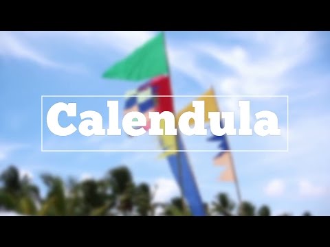 Calendula spelling