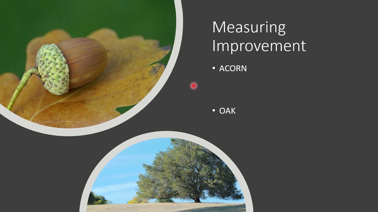 QEP Contest Quiz 1 Student