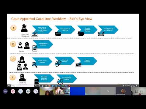 Introduction to CaseLines Through the Lens of a Litigator
