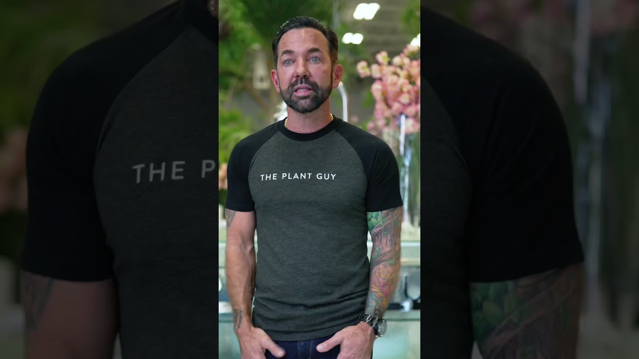 Who is THE PLANT GUY