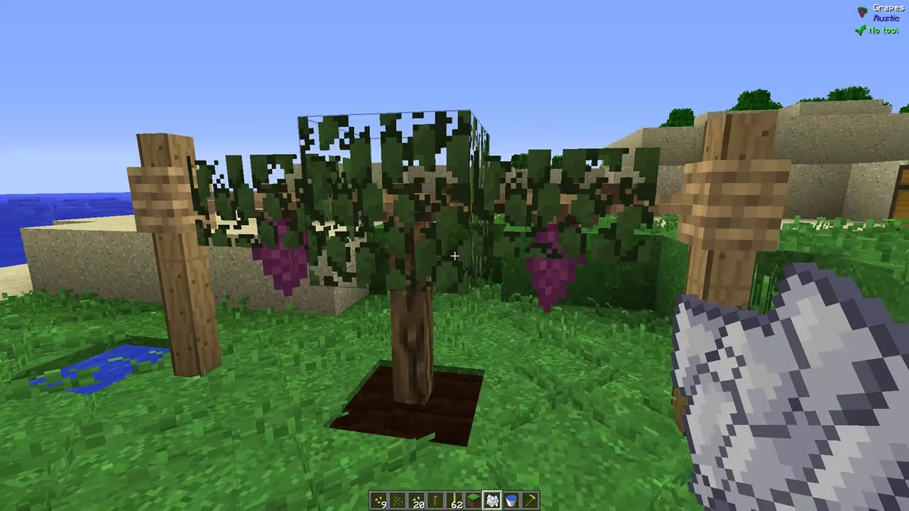 Nature's Beauty - Rustic Seeds Tutorial