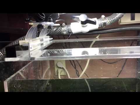 Ecosystem Aquaruim miracle mud fresh water Refugium