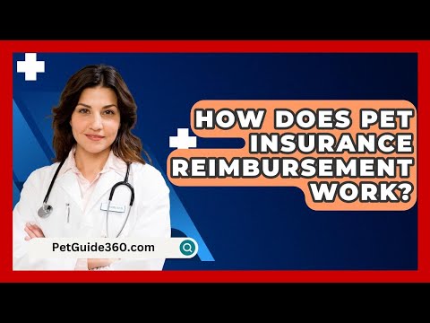 How Does Pet Insurance Reimbursement Work? - PetGuide360.com