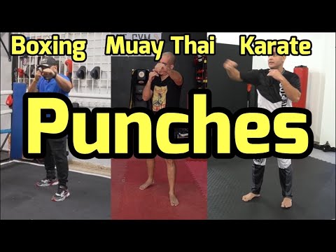 C贸mo Diferentes Deportes de Combate Usan los PU脩OS - Boxeo/Muay Thai/Karate