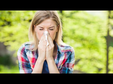 What you should know about ragweed