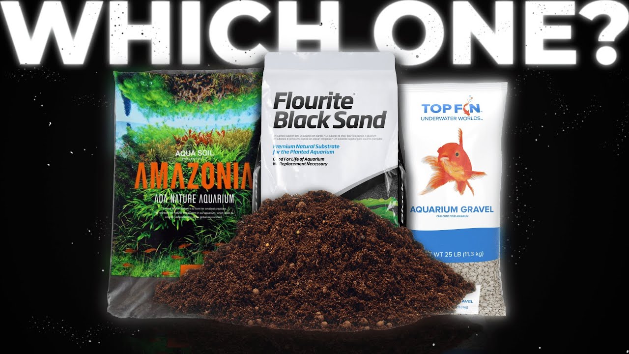 The Ultimate Planted Tank Substrate Guide